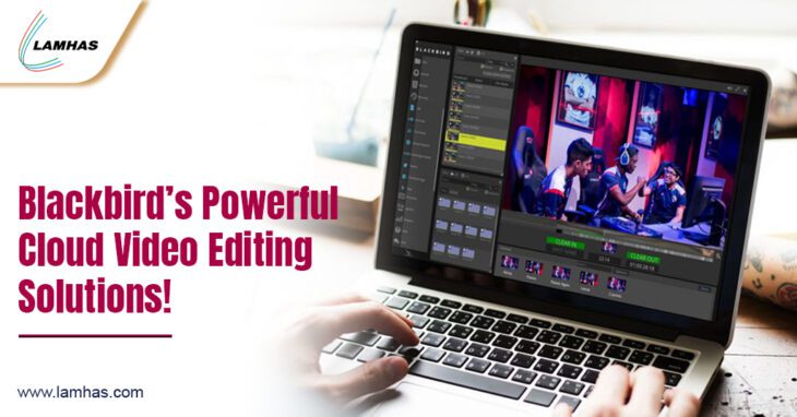 Get The Insights Into Blackbird’s Powerful Cloud Video Editing Solutions! | Lamhas